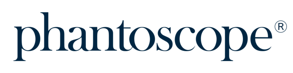 Pillow Covers – Phantoscope Co